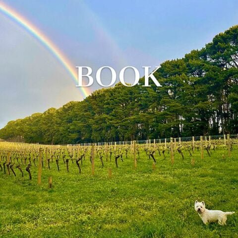 Mornington Peninsula Winery | Restaurant-Cellar Door | Main Ridge Estate